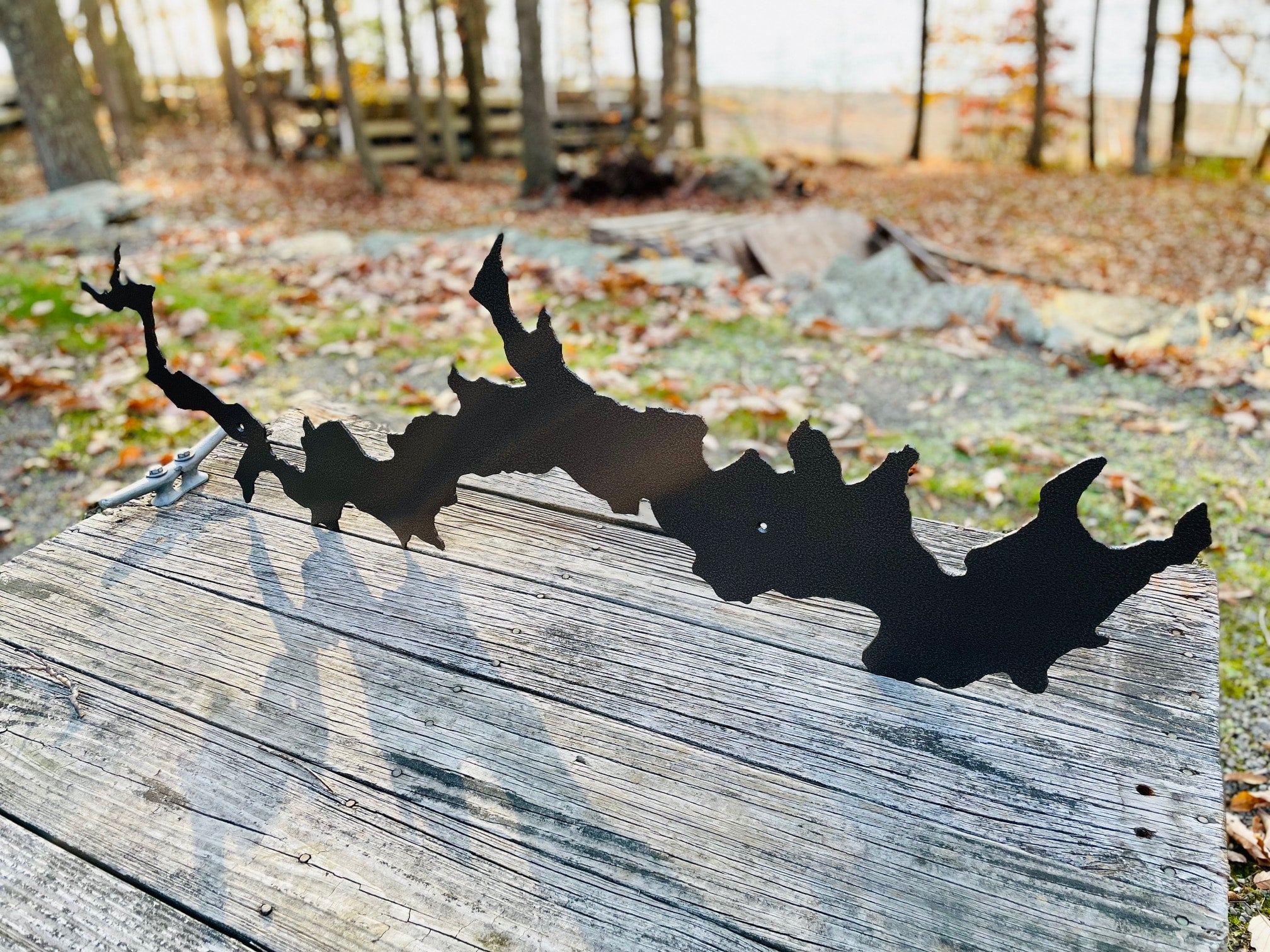 Lake Wallenpaupack Metal Lake Shape | Lake Art